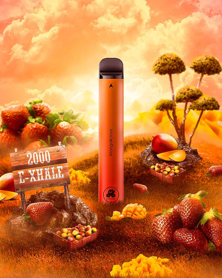 E-XHALE | South African Designed | Disposable vape pod | FREE shipping