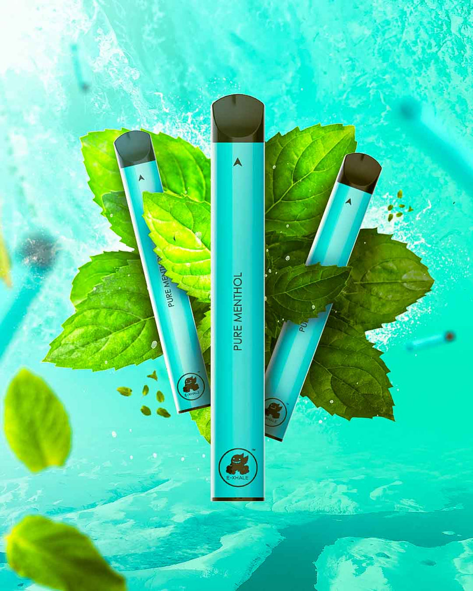 E-XHALE 900 PUFF DISPOSABLES