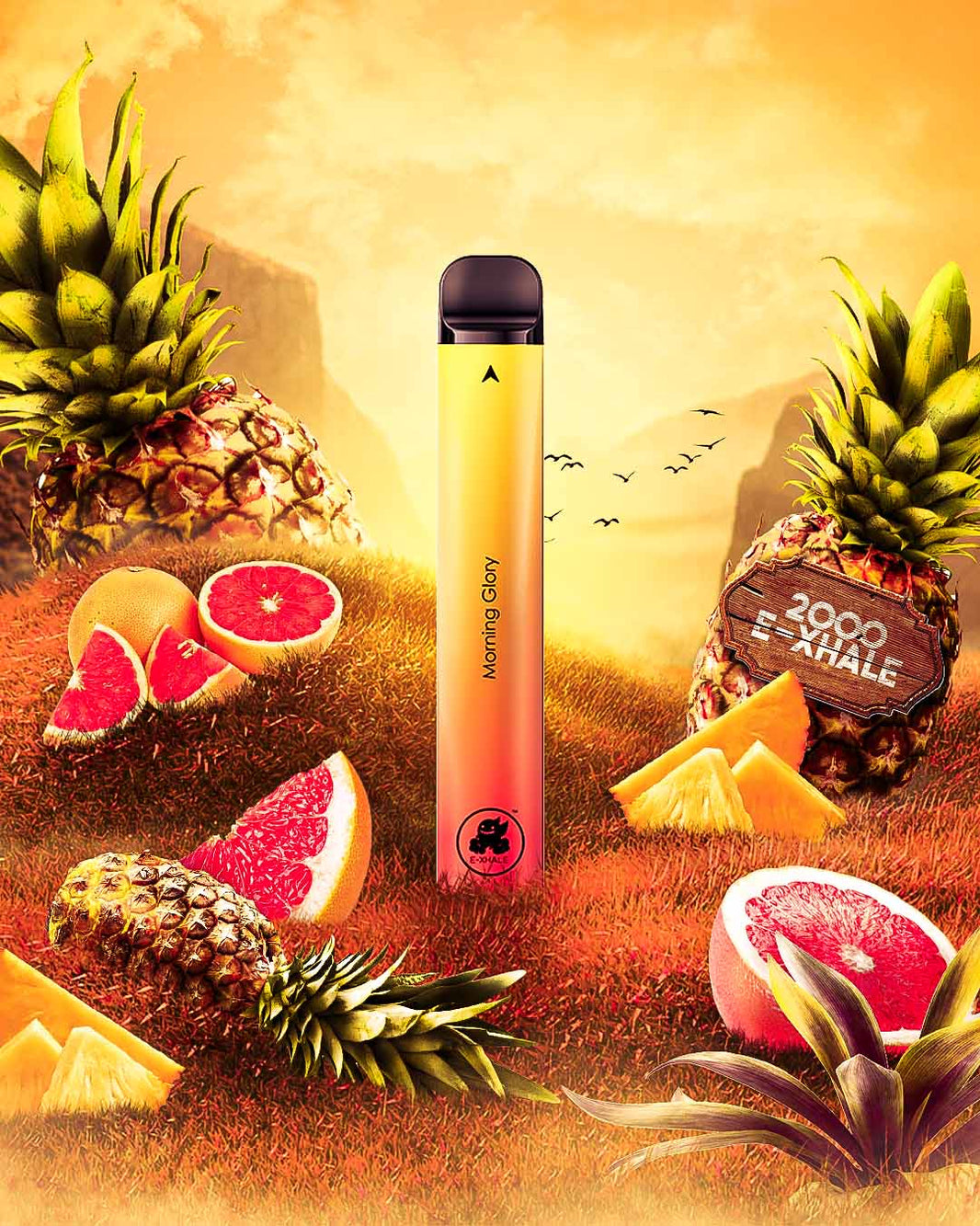 E-XHALE | South African Designed | Disposable vape pod | FREE shipping