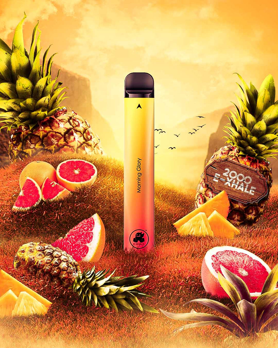 E-XHALE | South African Designed | Disposable vape pod | FREE shipping